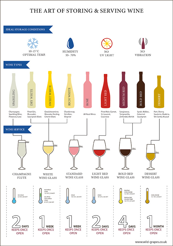 Infographic Design - Natty Designs